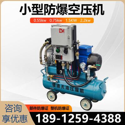 220V小型防爆空压机无油1.5KW加油站天然气bt4微型空气压缩机