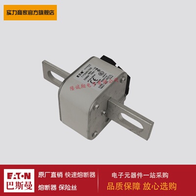 熔断器170M6717 170M6718 170M6719 170M6720 170M6721 170M3758