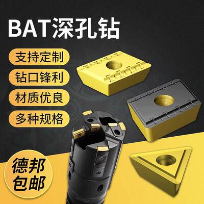 BTA深孔钻支撑片块800-06A/07A/08A/10A/12A/14D065/16D075/PMA