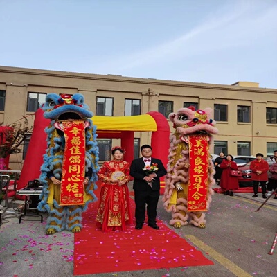 New Dragon Fly Premium Velvet Lion Dance Couplets 7 Meters