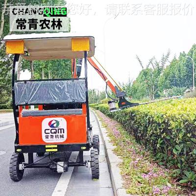 ElectricHedge rtimme748r  gren belt roadside evegetationprun