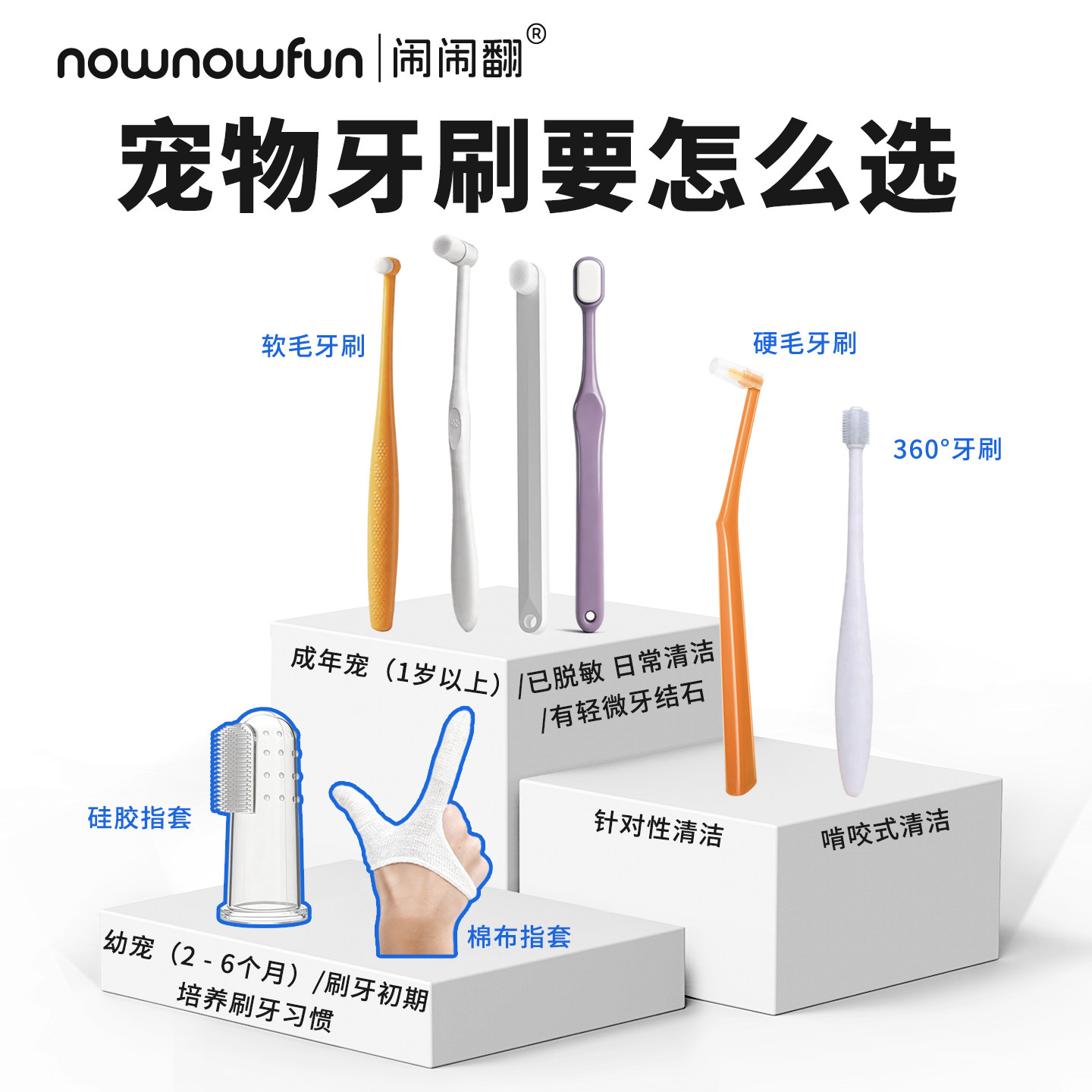 闹闹翻宠物狗狗猫猫清洁套装牙膏牙刷套装宠物口腔刷牙工具