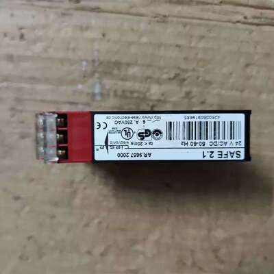 议价 RIESE 安全继电器 SAFE2.1 AR.965