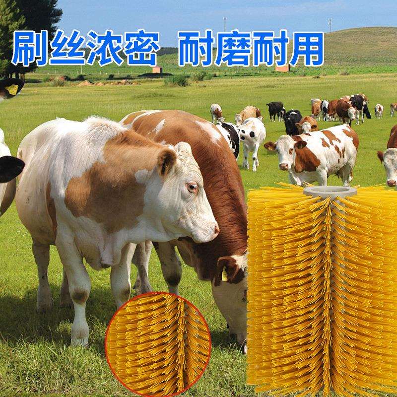 厂体家牛451体刷马奶牛专清洁刷体按摩清洁毛刷奶牛羊牧场牛用刷