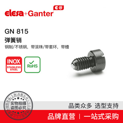 伊莉莎冈特GN815带槽弹簧销