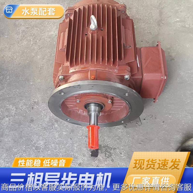 水泵配套三相异步电机厂家 二级2900转380大功率铁壳电动机