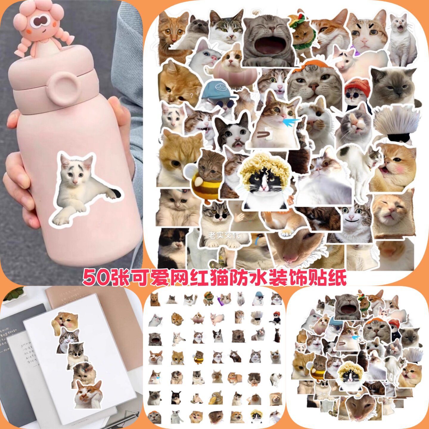 50张可爱网红猫防水装饰贴纸diy手机壳笔记本电脑手账本礼盒汽车收纳箱充电宝水杯ipad桌面墙面遮丑简约贴画