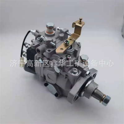 泵总成 22100-1C050 221001C050现货供应发动机配件