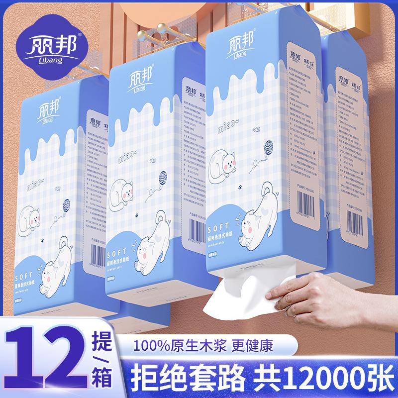 丽邦提挂式抽纸悬挂抽取式卫生纸家用擦手纸厕纸宿舍大包平板纸巾