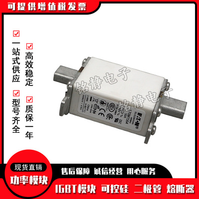 170M1568 170M1569 170M1570 170M1571巴斯曼熔断器现货170M1572