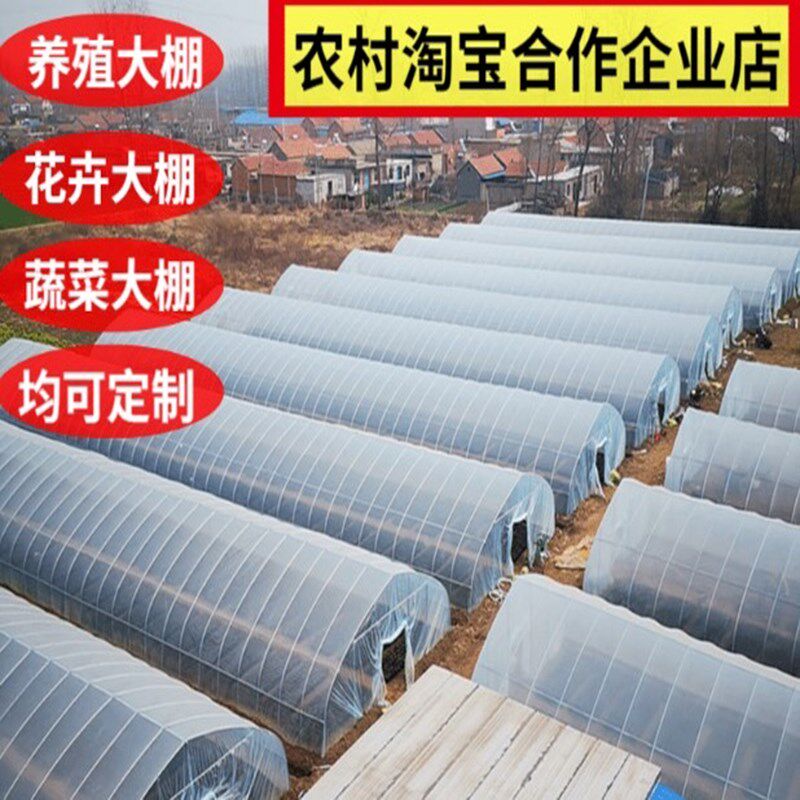 薄膜温室蔬菜大棚钢管骨架全套种植镀锌管椭圆管连体塑料供棚支架