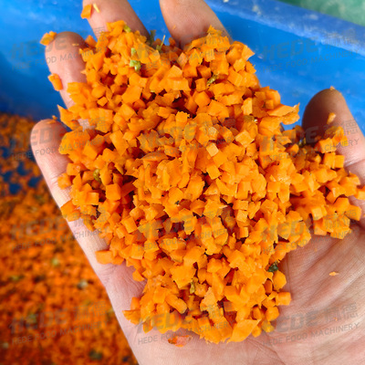 切丁机304不锈钢水果切粒机 净菜蔬菜切丁机 樱桃切丁切粒机