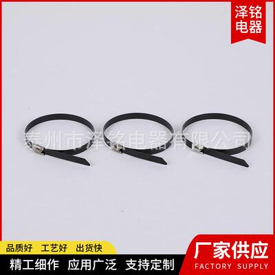 源头厂家直供阶梯式不锈钢塑扎带3GEY喷04/16简材质3一拉即紧操作