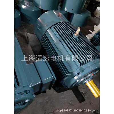 直销YDEJ180L-4/218.5/22kw三相双速刹车电动机 三速电动机铜心