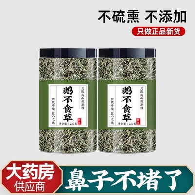鹅不食草中药材正品官方旗舰店新鲜泡茶泡水喝鹅不食草粉鹅不吃草