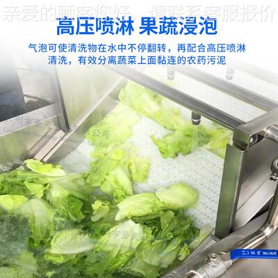 洗电动蔬清洗机 制菜加工设备 不HKQ锈钢预蔬菜翻浪式气泡清果机