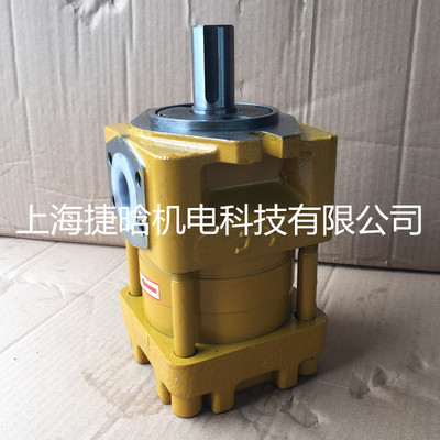 CHENGJIE 液压泵 内啮合齿轮泵 NT3-C40F