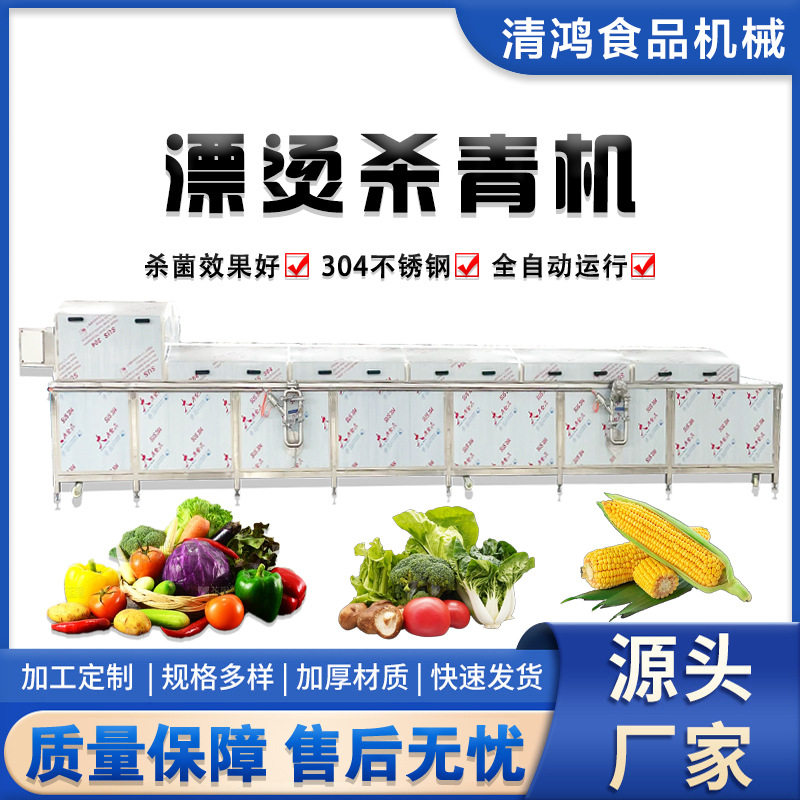 自动控温黄桃山楂漂烫机 全套果脯水果干加工设备 洋葱圈漂烫设备