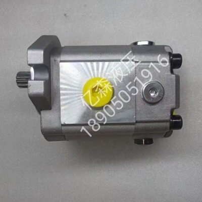 31NB-30020齿轮泵现代挖掘机R450/455/500/510R480-9S/520-9S专用