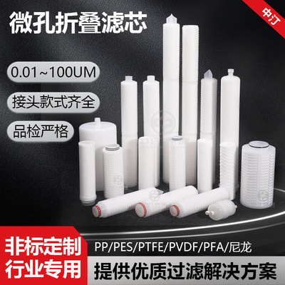 工业微孔折叠滤芯PTFE聚四氟乙烯