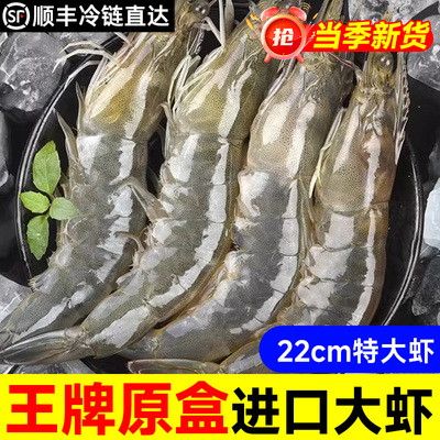 王牌大虾鲜活冷速冻特大