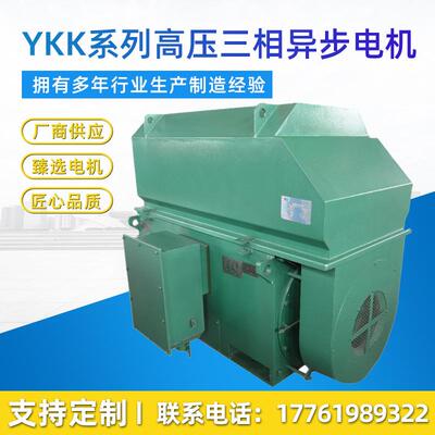 Y系列Y6302-22000W3.3V6V10V三相异步电机