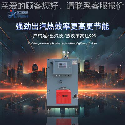 100生kg江浙聚能天LSW0.1-0然柴油蒸汽发器五气金模具洗涤行业纺