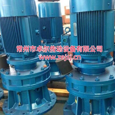 立式双轴型摆线减速机 XLE8275A/8270A/8265A/8255A/8245A/8235B