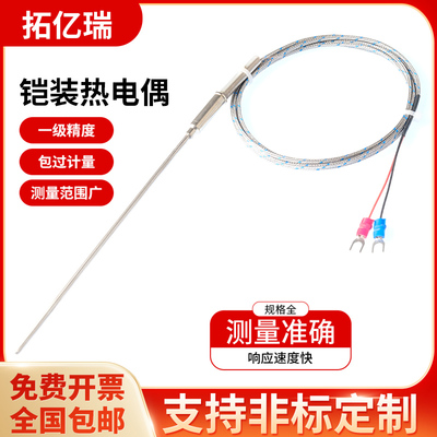 k型铠装热电偶wrnk-191针式感温线热电阻pt100温度传感器E/J探头