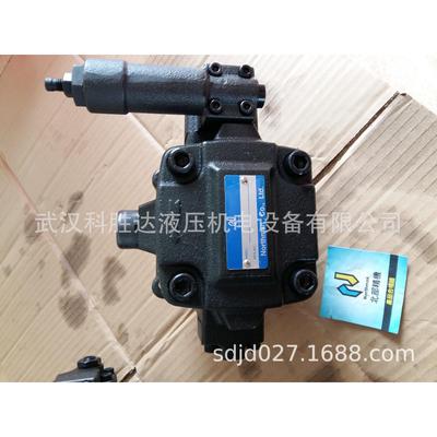 Northman HVPVC-F40/F30-A5/A4/A3/A2-02 油泵HVPVC-F30