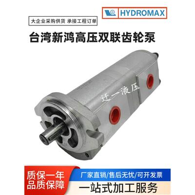 台湾新鸿HGP-33A-F25/25R双联齿轮泵66R 1414R 1919R 2828R 3030R
