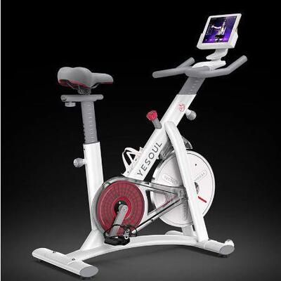 ESOUL动感单车家用运动健身器材室内健身车静音S1