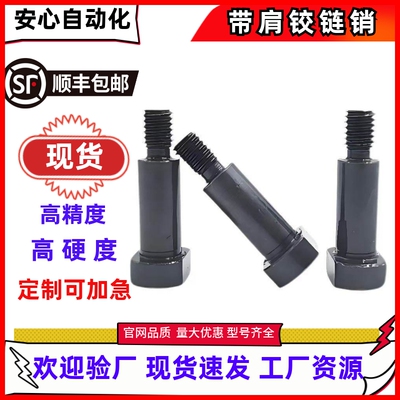 带肩铰链销轴螺丝CLBDGMIE01
