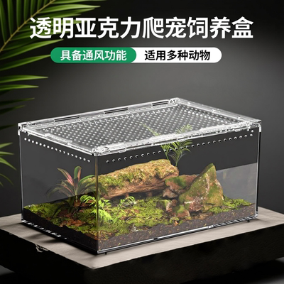 透明亚克力爬宠饲养箱守宫养殖缸