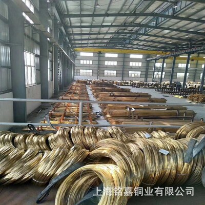 直销优质高d精铜带 CUZN5铜管 铜排 CUZN10铜套 铜丝线材