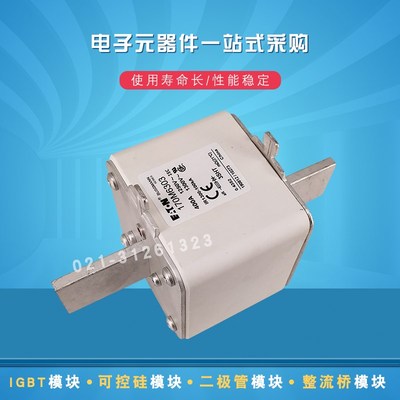 快速熔断器保险丝170M6271 6270 6277 6281 6299 6301 6308 6303