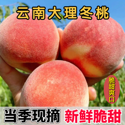 云南大理冬桃脆甜水果蜜桃新鲜现摘高原雪桃精选山桃大果毛桃子