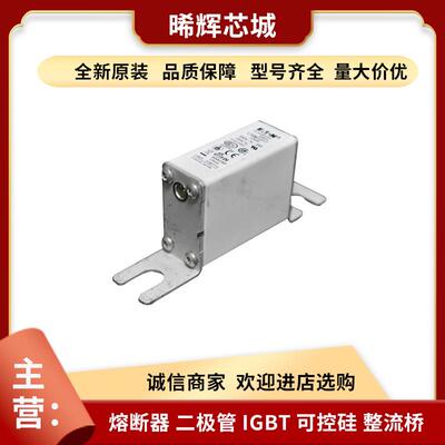 170M1317 170M5610压快速熔断器库存充足 型号齐全量大从优现货