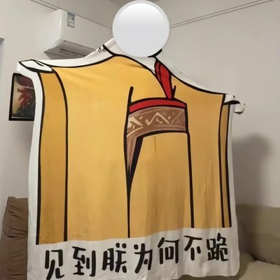 搞笑滑稽见到朕为何不跪皇帝龙图搞怪宿舍法兰绒送礼午睡毯床毯子