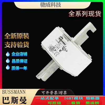 巴斯曼170M6216 170M6217 170M6218 加工制作价格优惠 原装熔断器