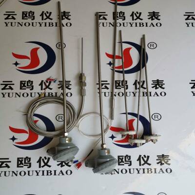 WZPK2-132电缆式铠装热电阻WZPK2-534WZPK2-226SA