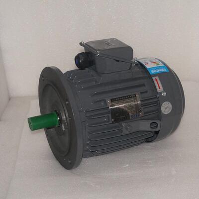 TECO东元电机2.2KW 刹车制动马达立式B5 AEVF TVGH100L 2200W东元