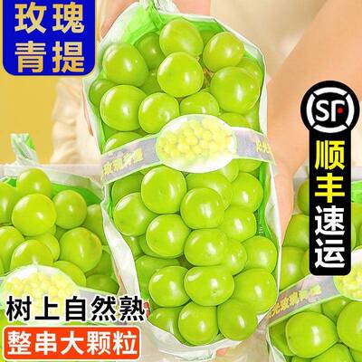 阳光玫瑰整串葡萄青提无籽提子香印应季新鲜水果顺丰包邮
