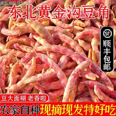 速冻黄金沟钩勾黄豆角东北特产蔬菜黄金钩豆角面鼓芸豆角八月忙