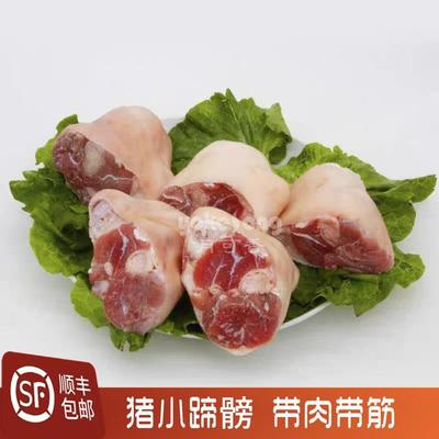猪小蹄膀5斤猪脚圈猪二肘猪蹄猪拐骨小蹄髈生鲜肉类猪蹄膀