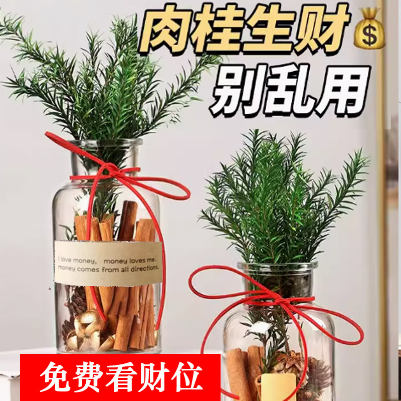 肉桂生财瓶摆件招财玻璃瓶花瓶乔迁新居工位小摆件位装饰礼d