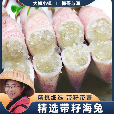 速冻带膏带籽熟冻海兔笔管鱼一包500g发2包每包30只左右