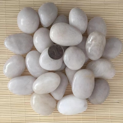 广东白色雨花石鱼缸造景石头庭院花盆铺地石子装饰精抛天然鹅卵石