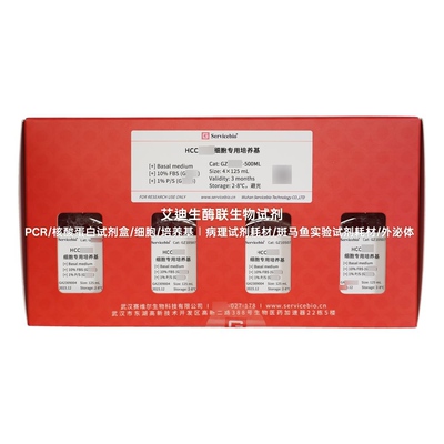 HCC1937细胞专用培养基，包含所需各种成分，直接用于HCC1937细胞