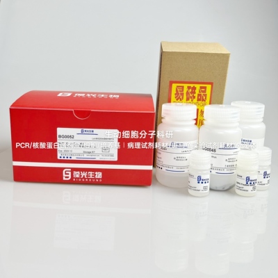 BGMG血清/血浆/全血RNA提取试剂盒,快速释放RNA磁珠法高效富集RNA